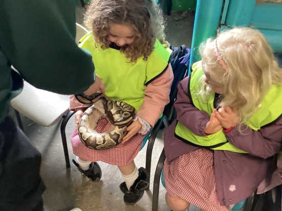 Archibald First School - Reception visit the farm
